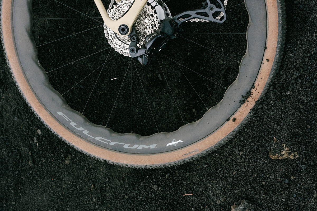 Ruote Fulcrum – In Bici Veritas - Cicli Varsalona